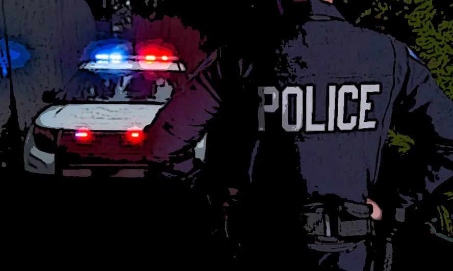 On Scene Investigations - DATAPILOT